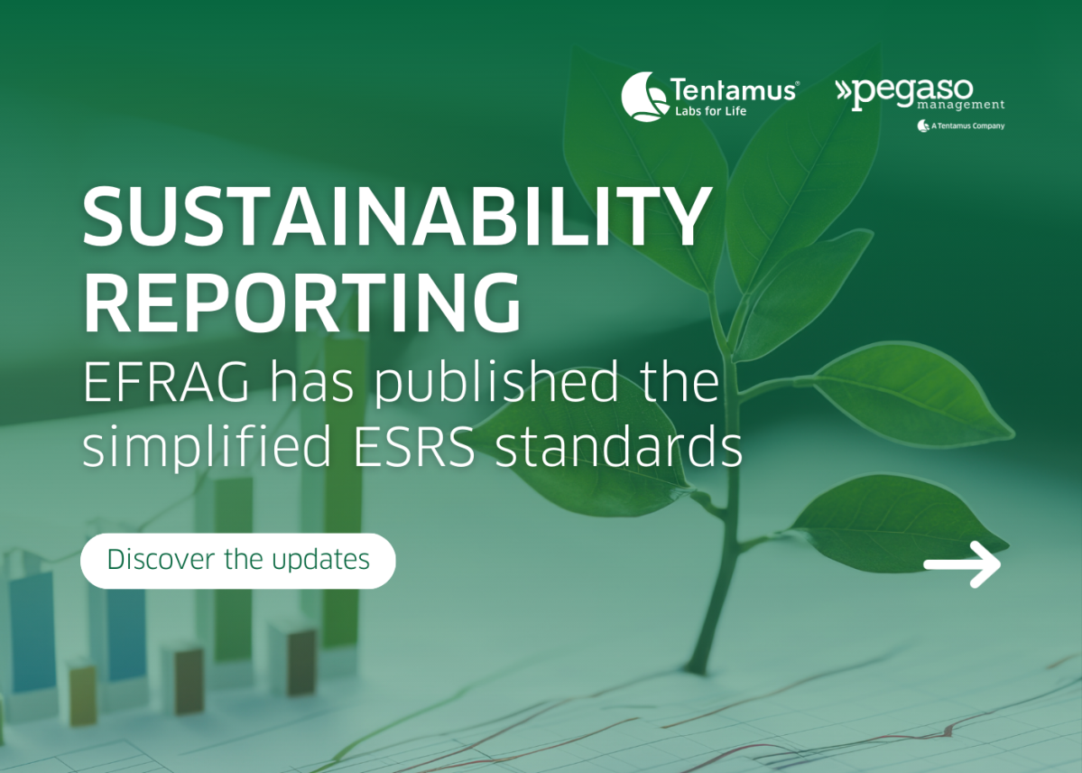 Simplified ESRS: here are the key updates! - Pegaso Management